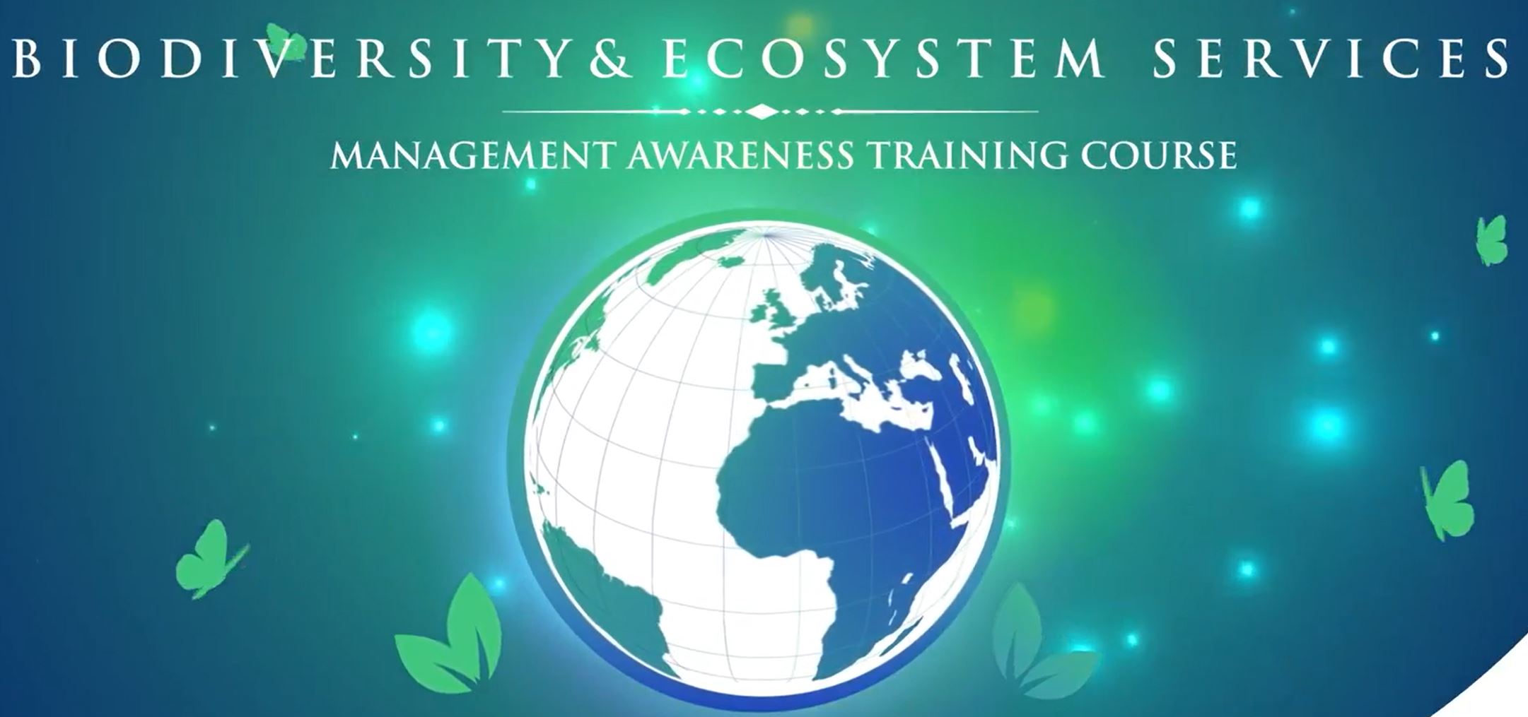 Biodiversity and Ecosystem Services Management (TH)